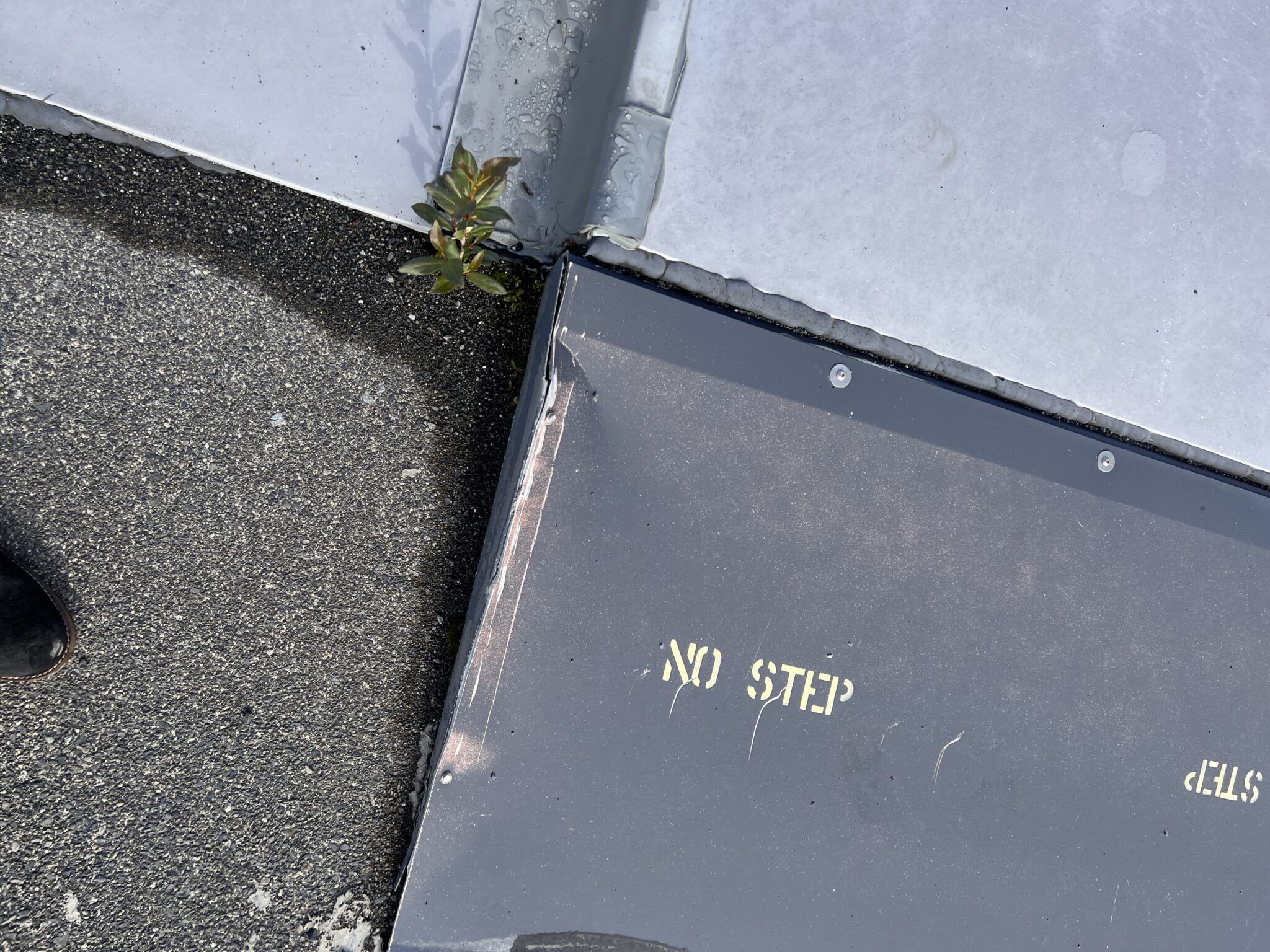 EMAS Maintenance Cost: How to Preserve Your Investment - Runway Safe