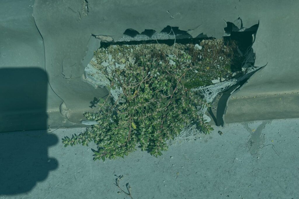 Support and Maintain